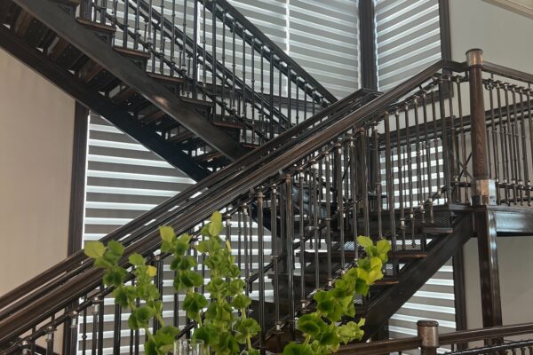 Vision Shades - A&J Blinds